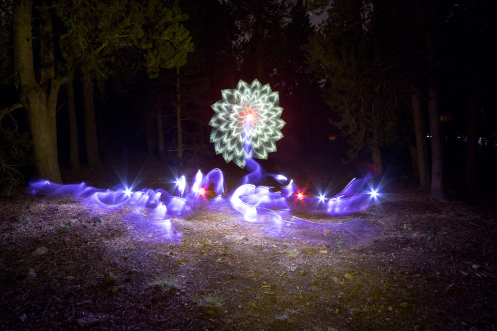 How To Light Paint A Flower | JASON D. PAGE